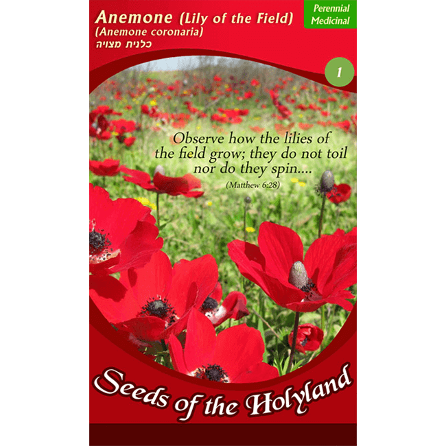 Packet of Anemone (Lily of the Fields) Seeds