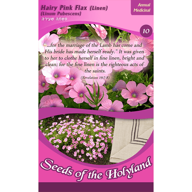 Hairy Pink Flax Seeds of the Holy Land