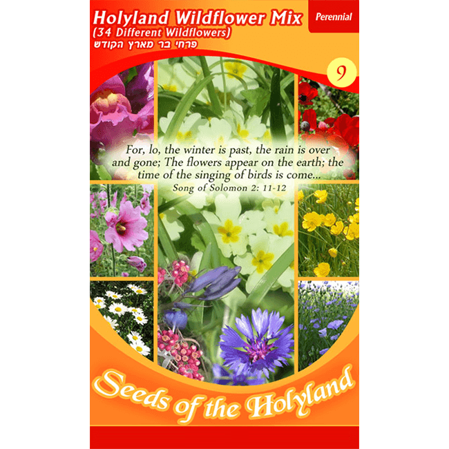 Holyland Wildflower Mix Seeds of the Holy Land