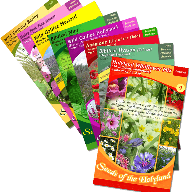 Complete Set of Seeds of the Holy Land